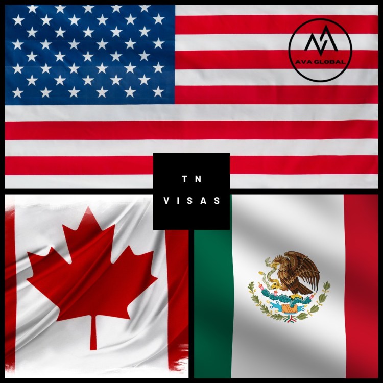 TN Visa Guide for Employers and Professionals